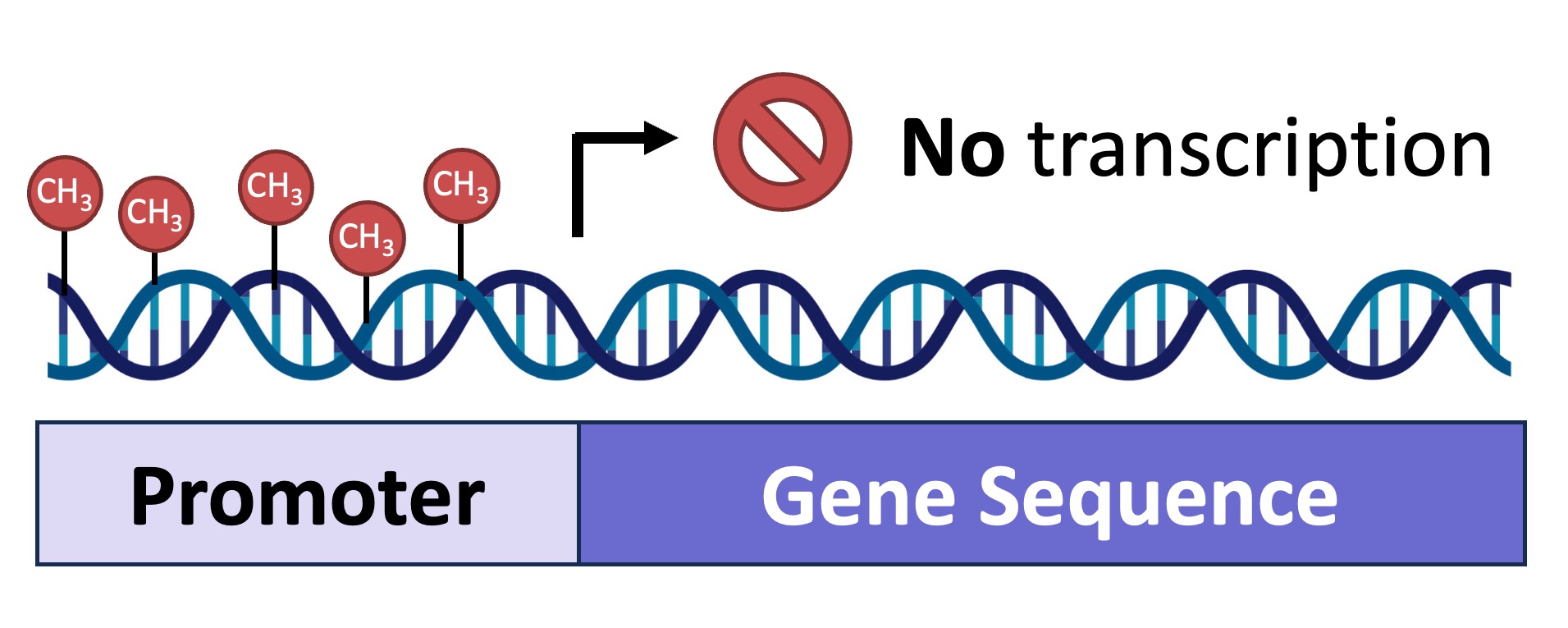 Epigenetic Tags